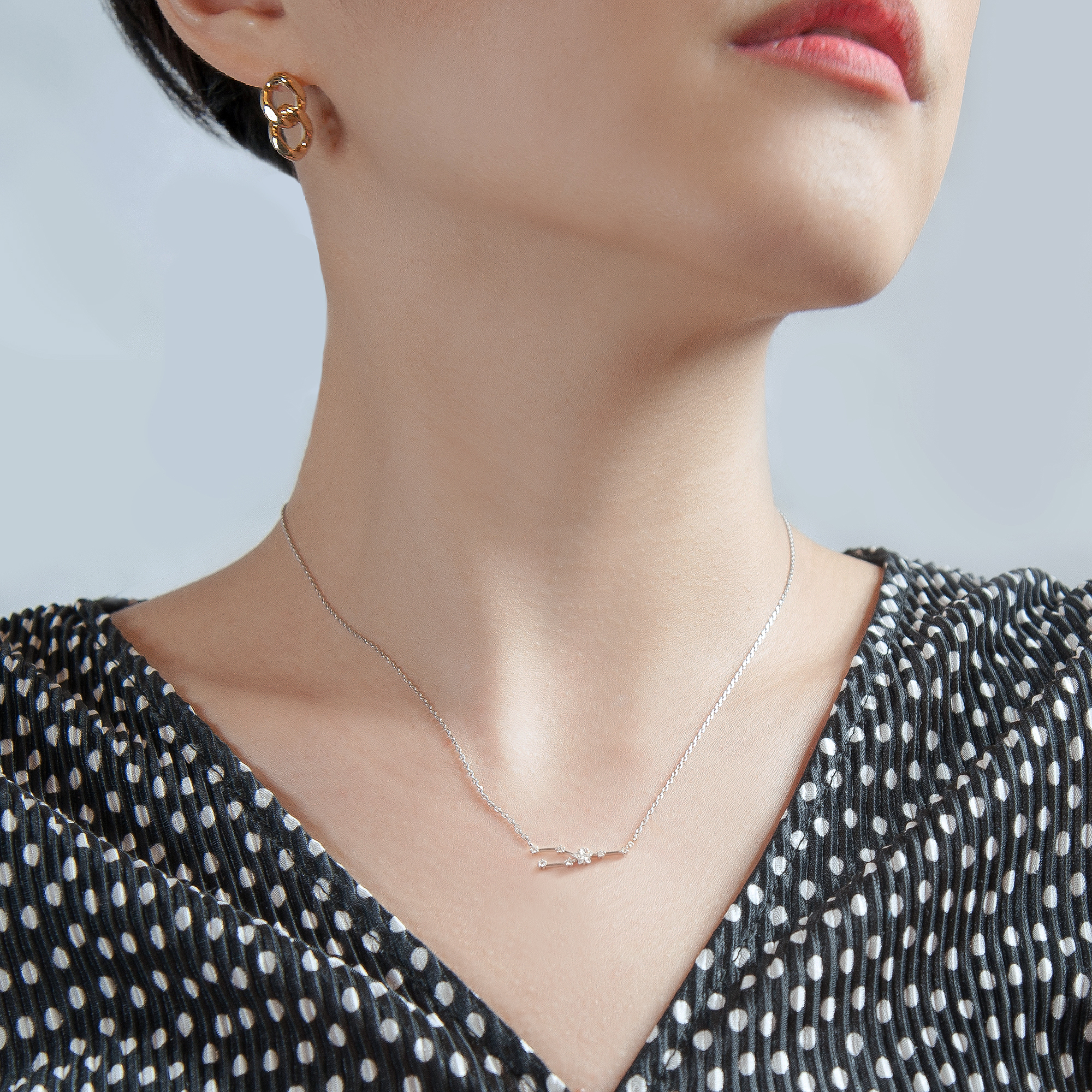 Taurus Zodiac Necklace - Secret Box New York